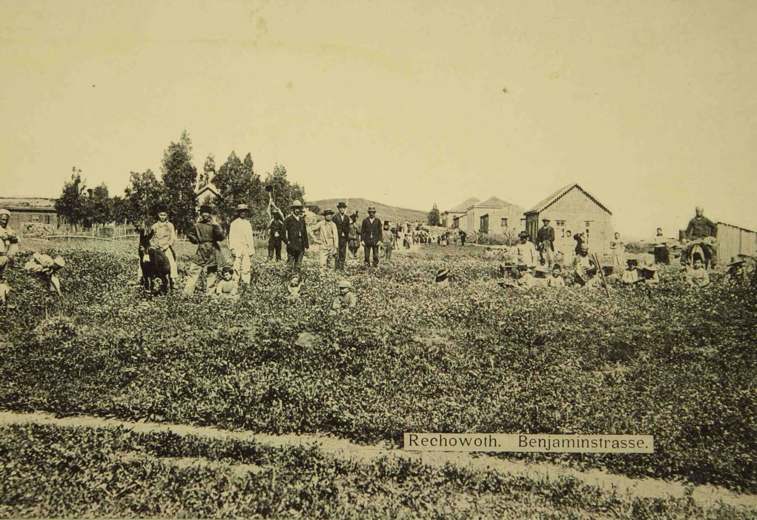 Rehovot Tourism Guide: Unveiling the Best of Israel City