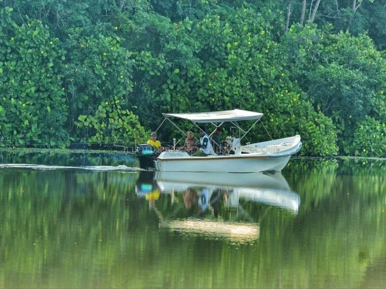 Wadduwa Travel Guide: The Best Things to Do in Village