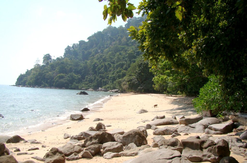 Explore Tioman Island: Coral Reefs, Pristine Beaches, and More