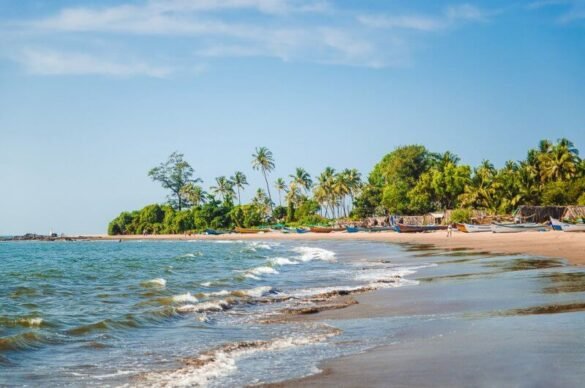 Morjim Beach: The Clean and Tranquil Jewel of North Goa