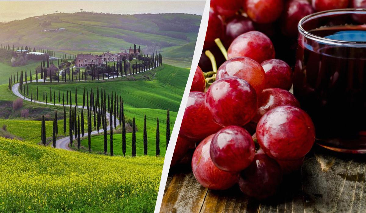 The wine expert visited 77 wine-producing regions around the world, and ...